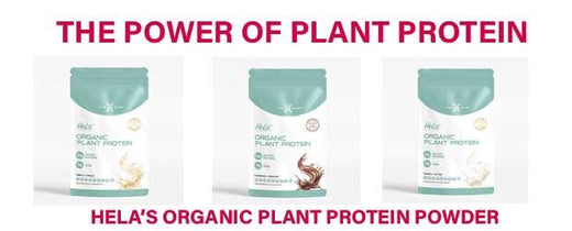 The Power of Plant Protein - Indoor Cycling Magazine – HeLa Nutrition